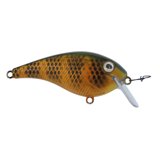 Bay Rat Lures, Battle 1.5, Dirty Perch - Walmart.com