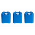 BayTec Containers 4 Gallon Closed-Head Plastic Jug, Blue, 3 Pack ...