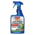 Bayer Advanced All in One Lawn 1.3G Weed & Crabgrass Killer - Walmart.com