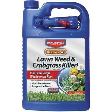 BioAdvanced All-in-One Lawn Weed & Crabgrass Killer, Dandelion & Clover ...