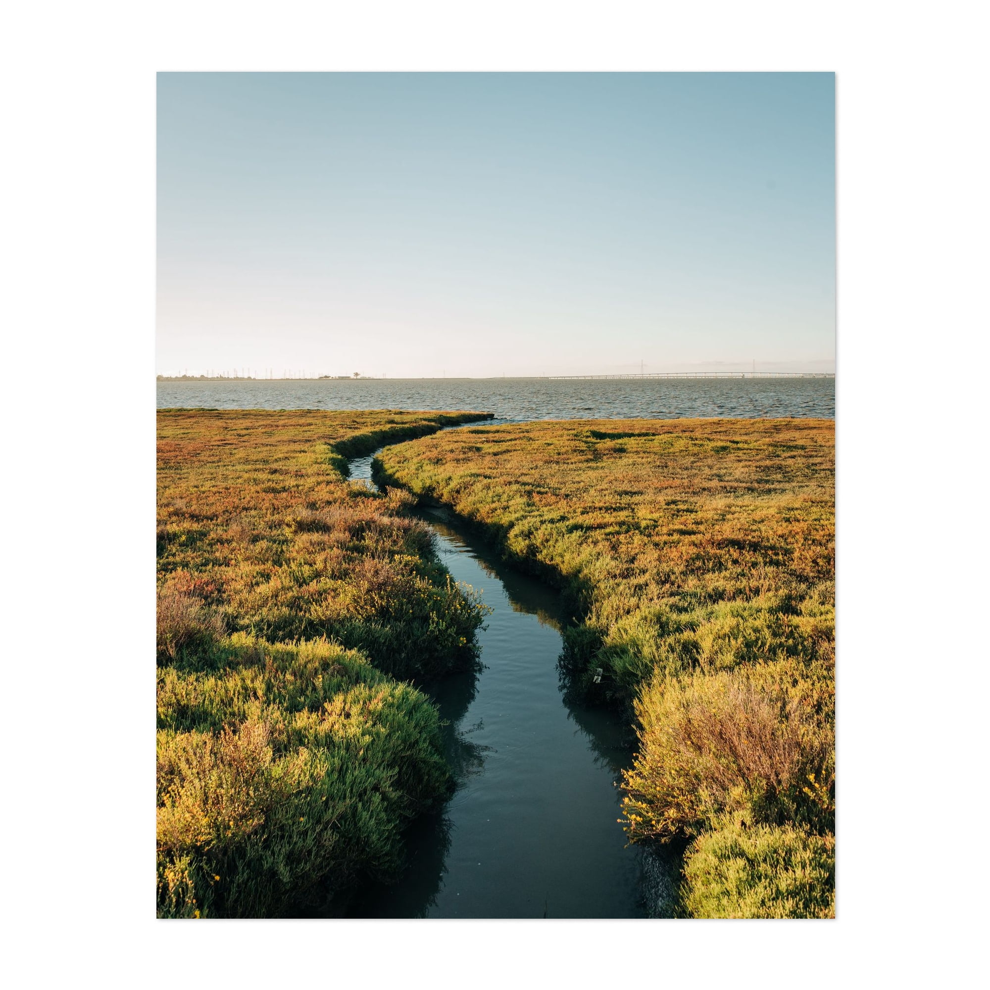 Baylands Nature Preserve, Palo Alto 01 - Palo Alto California ...