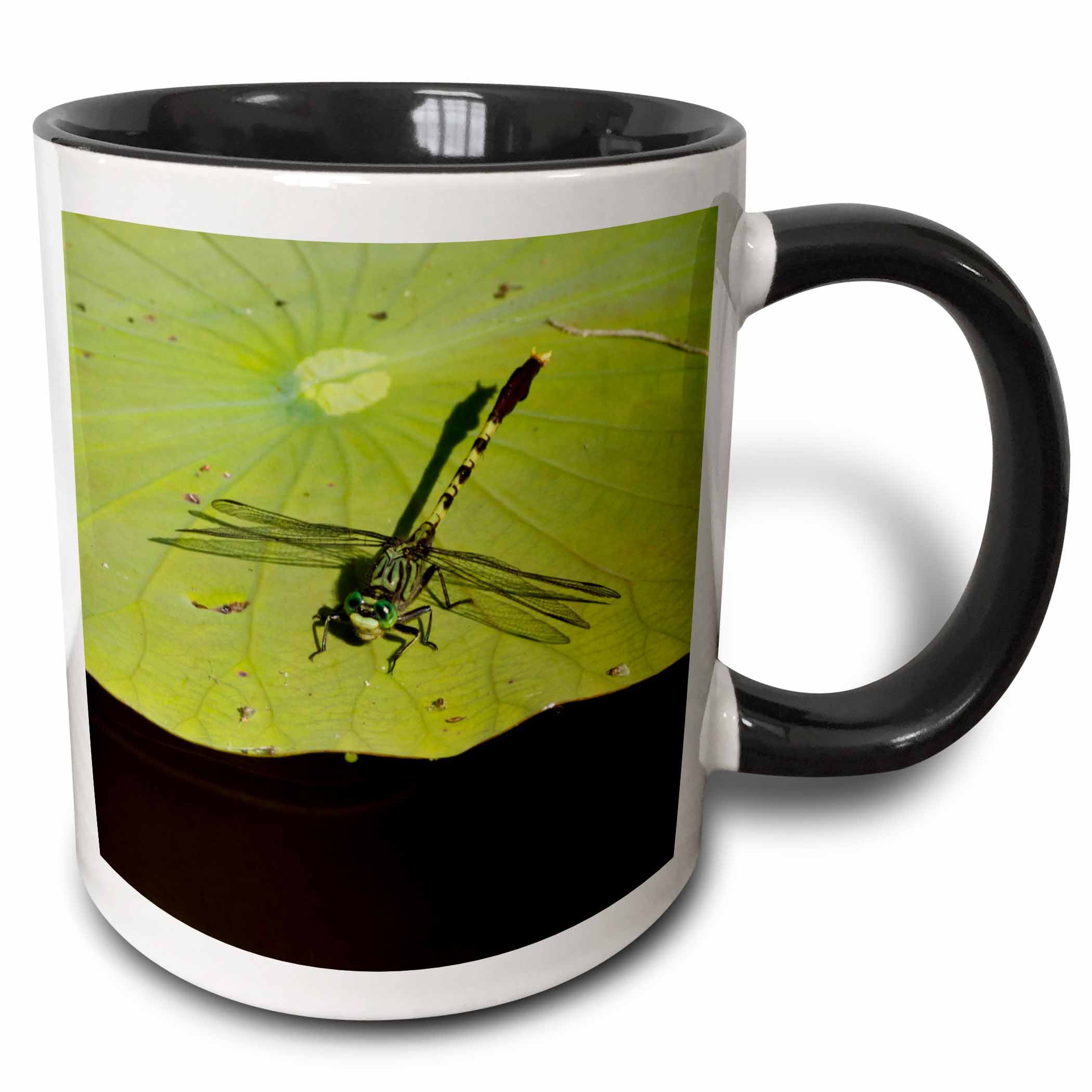 3drose, Bayon Clubtail Dragonfly Insect, Texas, Usa - Us44 Ldi0749 ...