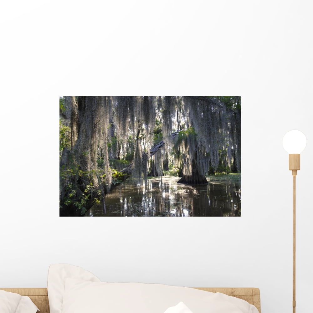 Bayou Swamp Scene with Wall Mural by Wallmonkeys Peel and Stick Graphic ...