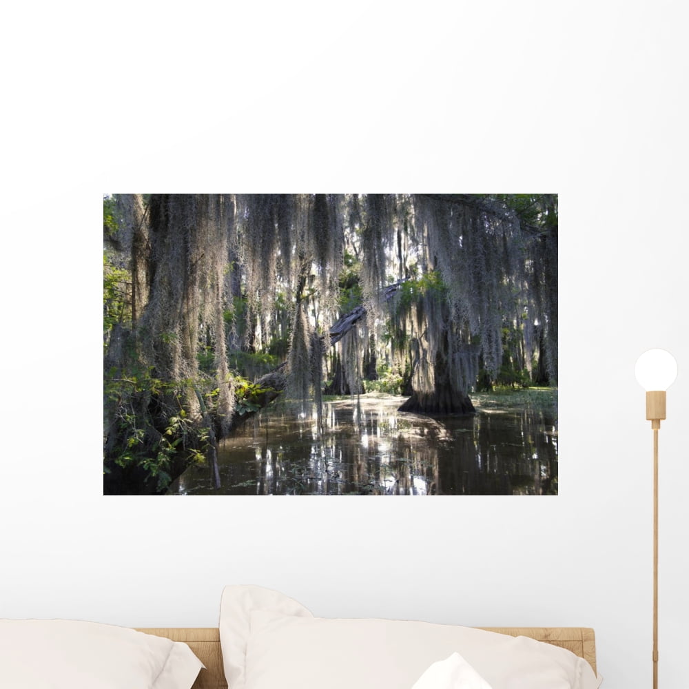 Bayou Swamp Scene with Wall Mural by Wallmonkeys Peel and Stick Graphic ...
