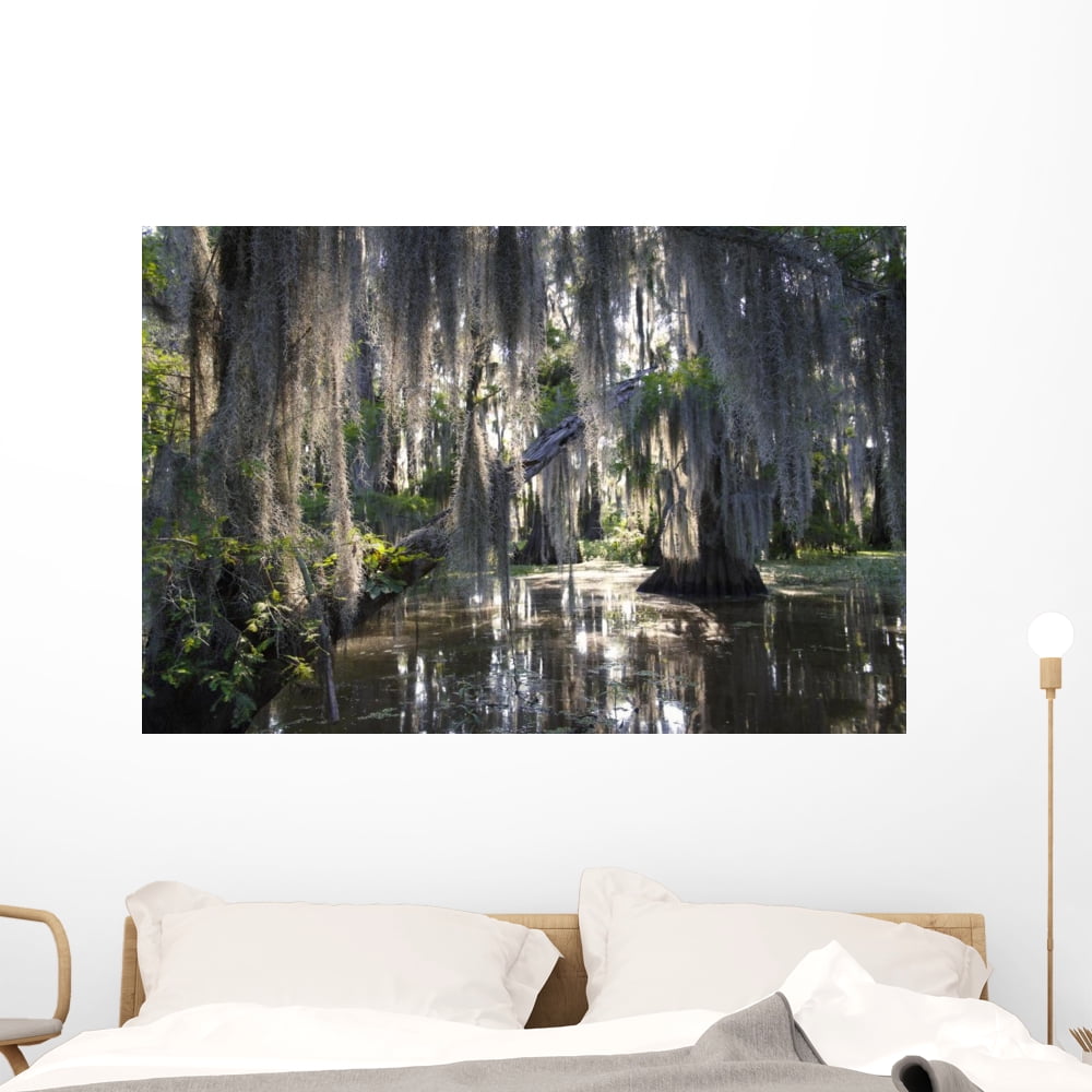 Bayou Swamp Scene with Wall Mural by Wallmonkeys Peel and Stick Graphic ...