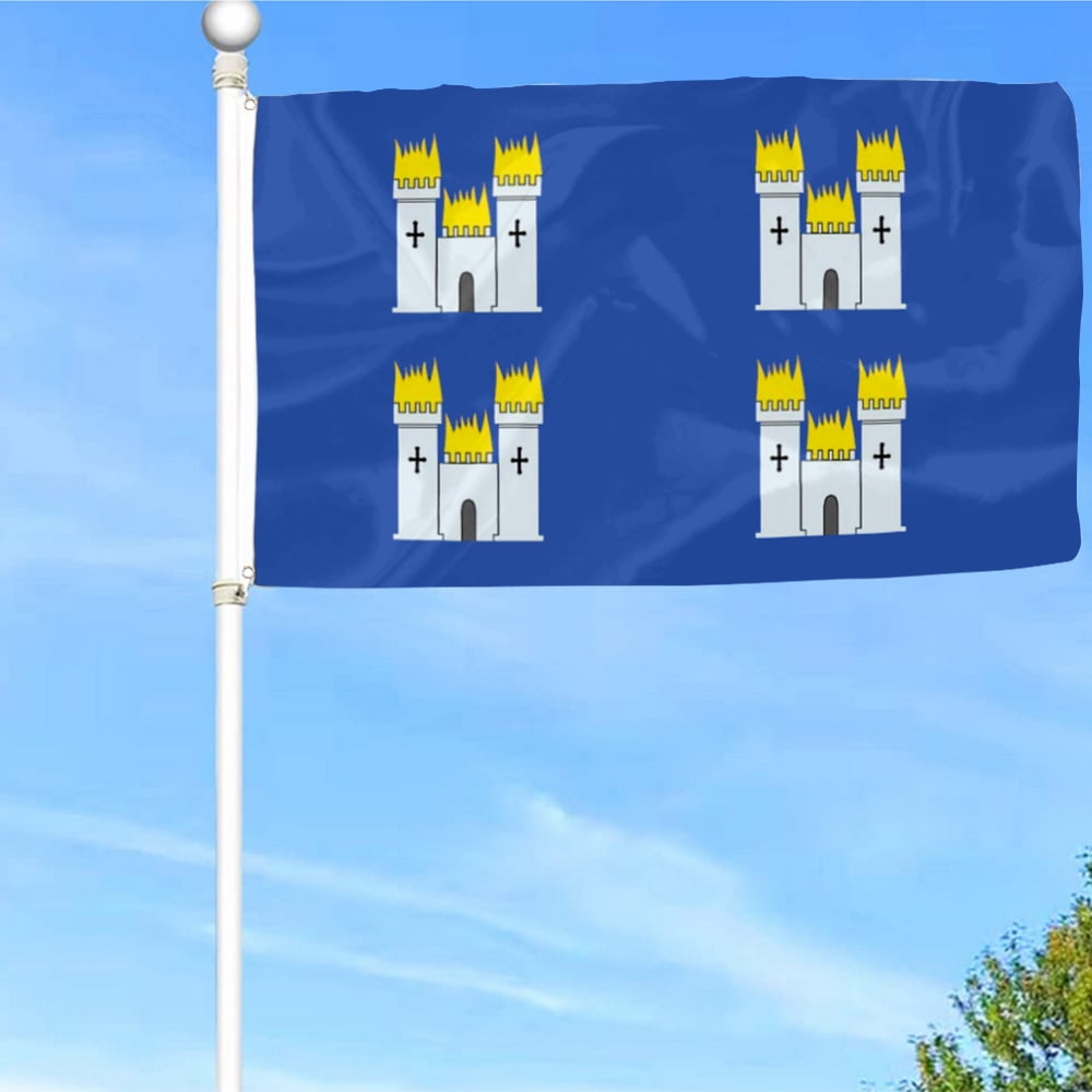 Bayyon Dublin Coat of Arms Flag Banner with Grommets 3x5Feet Man cave ...