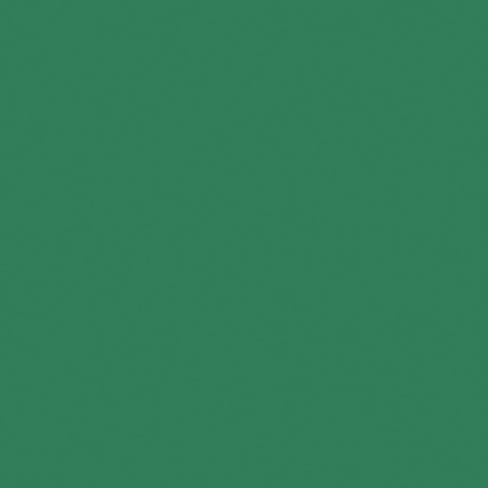 Bazzill Card Shoppe Heavyweight Cardstock 12"X12"-Evergreen - Walmart.com