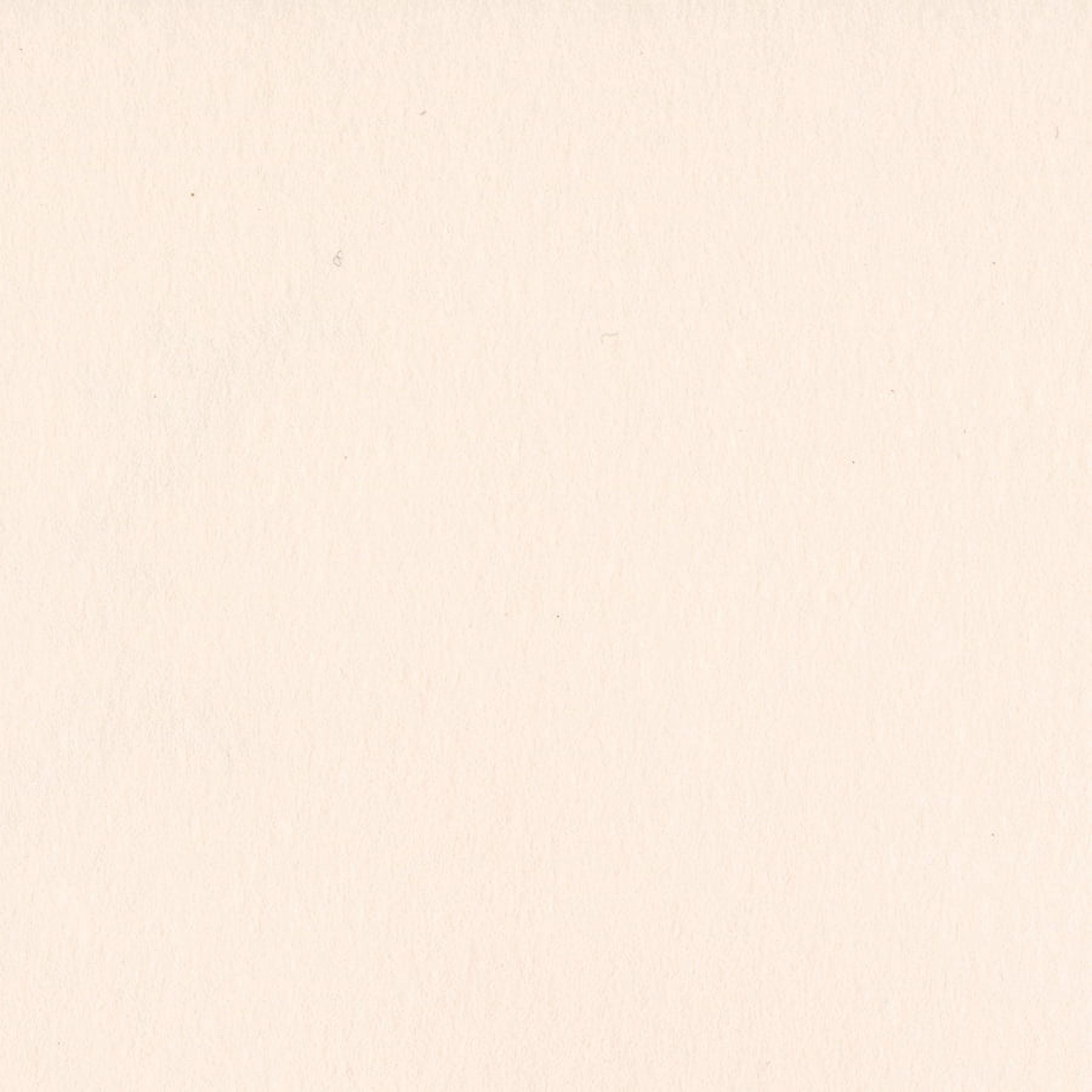 Bazzill Card Shoppe Heavyweight Cardstock 12"X12"-Pale Rose - Walmart.com