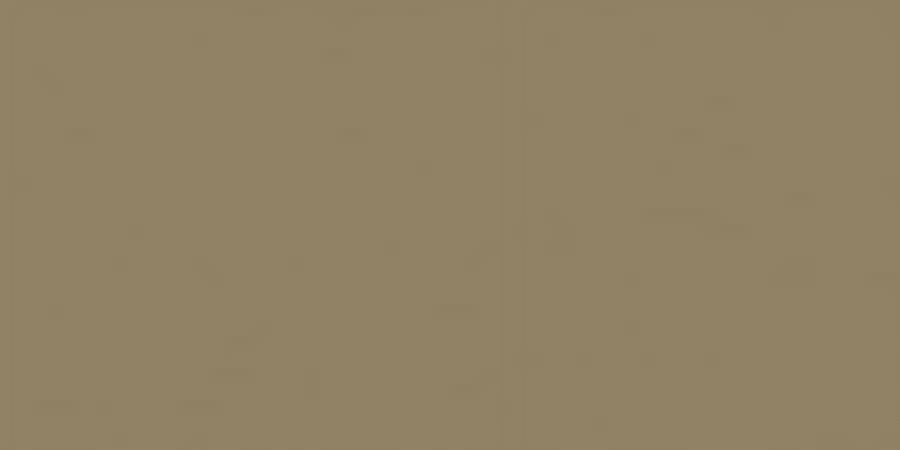 Bazzill Card Shoppe Heavyweight Cardstock 8.5"X11"-Peanut Cluster ...