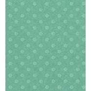 Bazzill Cdstk 12x12 Mono Bazzill White (pack of 25) - Walmart.com