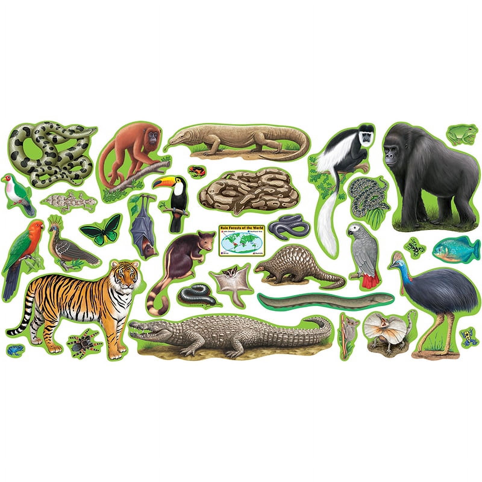 T-8150 - Rain Forest Animals Bulletin Board Set by Trend Enterprises ...