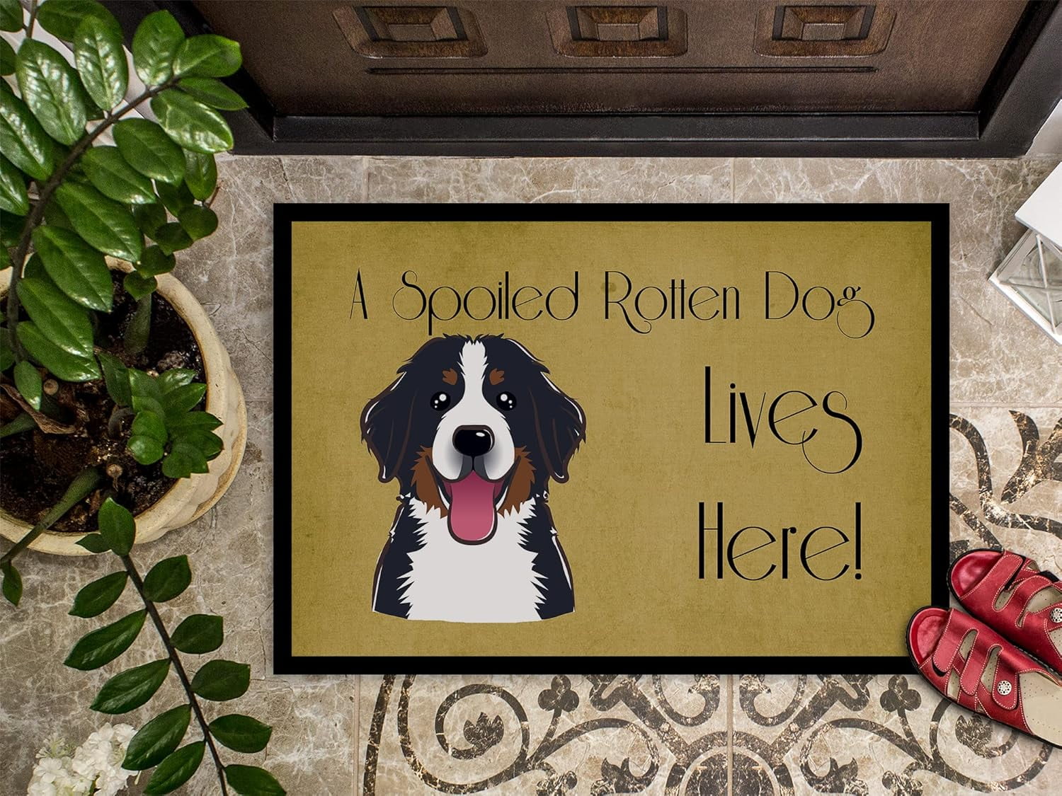 Bb1485J Bernese Mountain Dog Spoiled Dog Lives Here Door 24X36 Front ...
