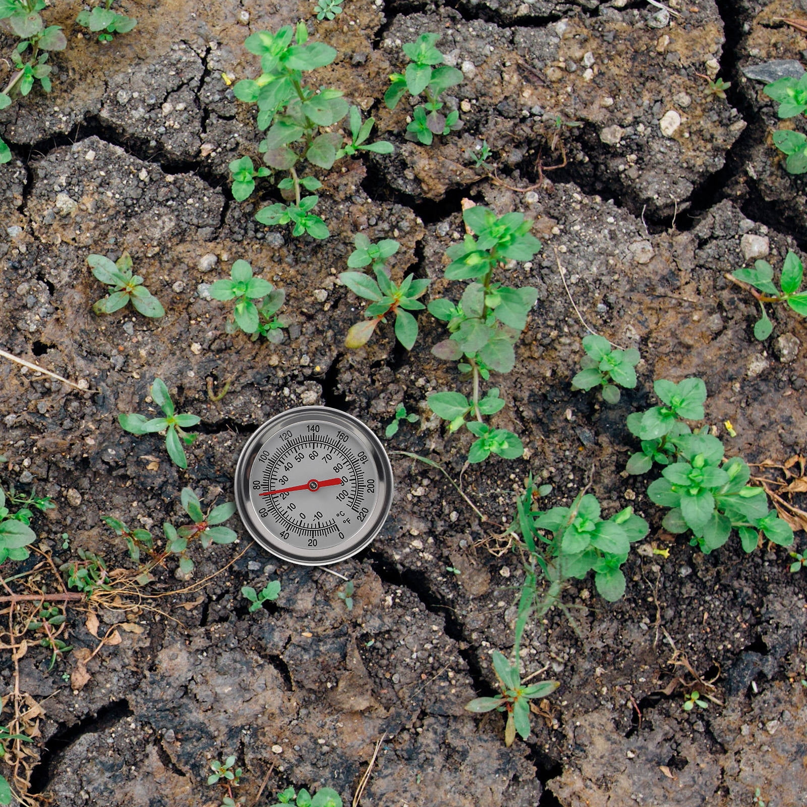 PBPBOX Indoor Thermometers Stainless Steel 1Set 19.7In Soil Meter For ...