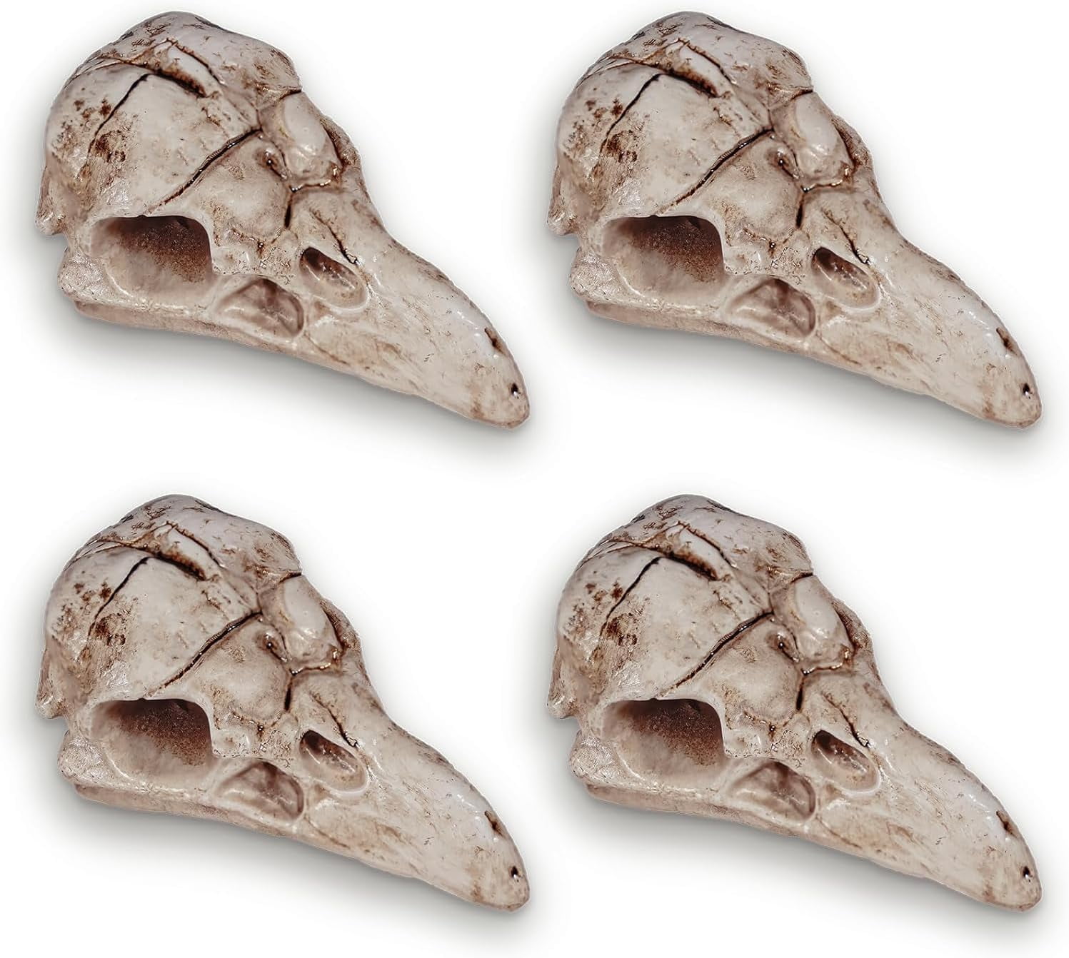 Bbiamsleep 4 Pcs Halloween Raven Skull Gothic Crow Decor Statue Raven ...