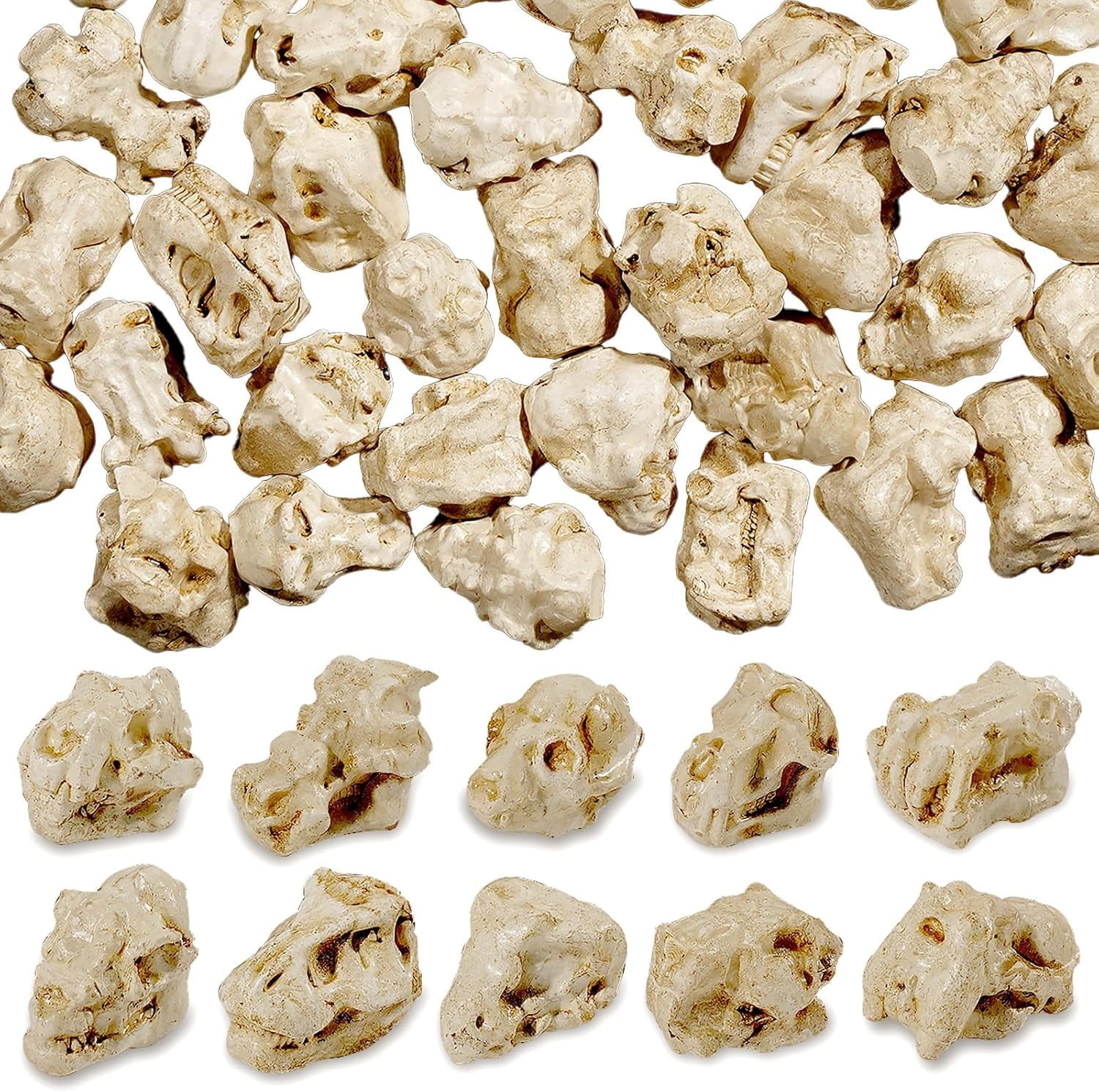 Bbiamsleep 50 Pcs Mini Resin Animal Skull Heads Miniature Animal Skull ...