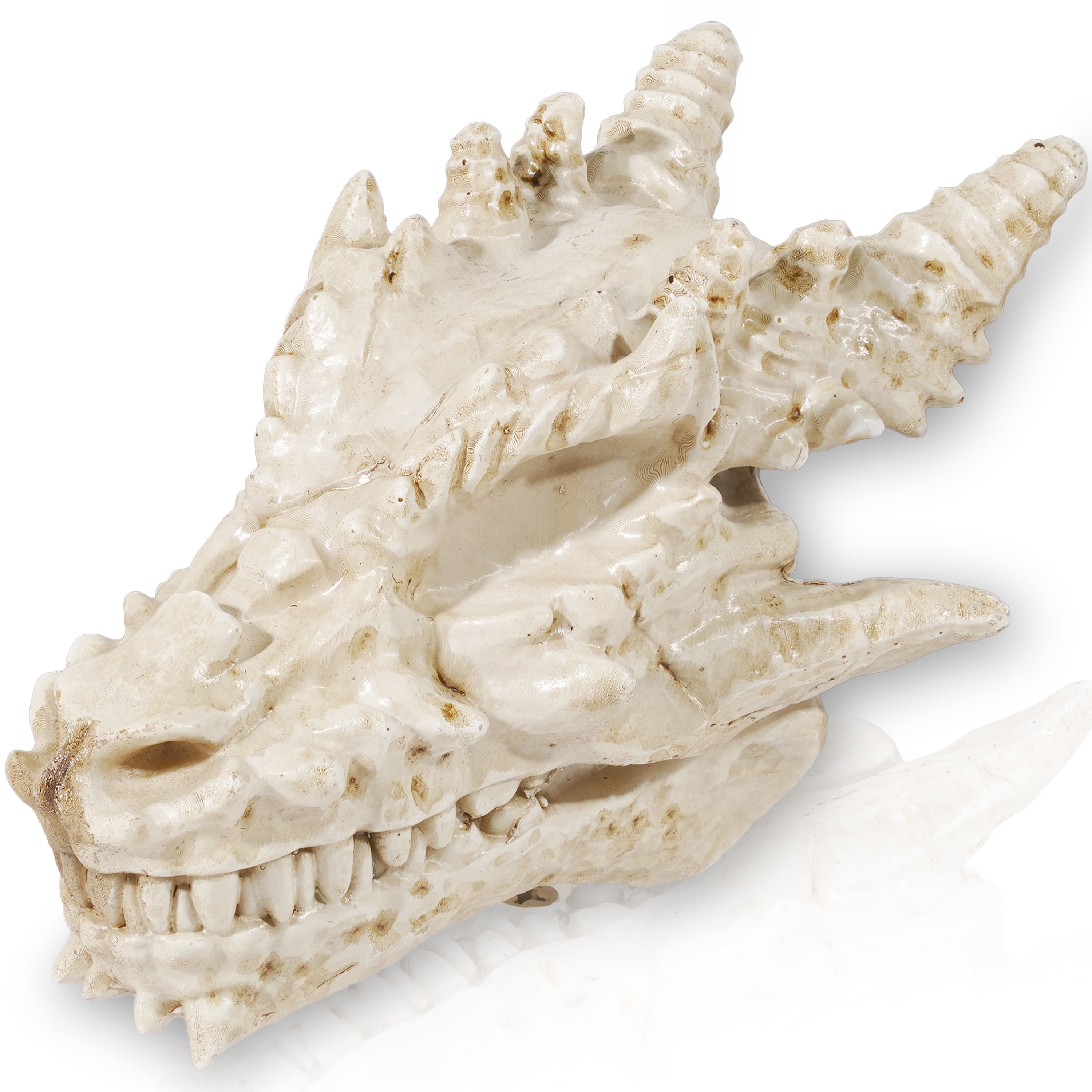 Bbiamsleep Resin Dragon Animal Skull Figurine Resin Dragon Skull Statue ...