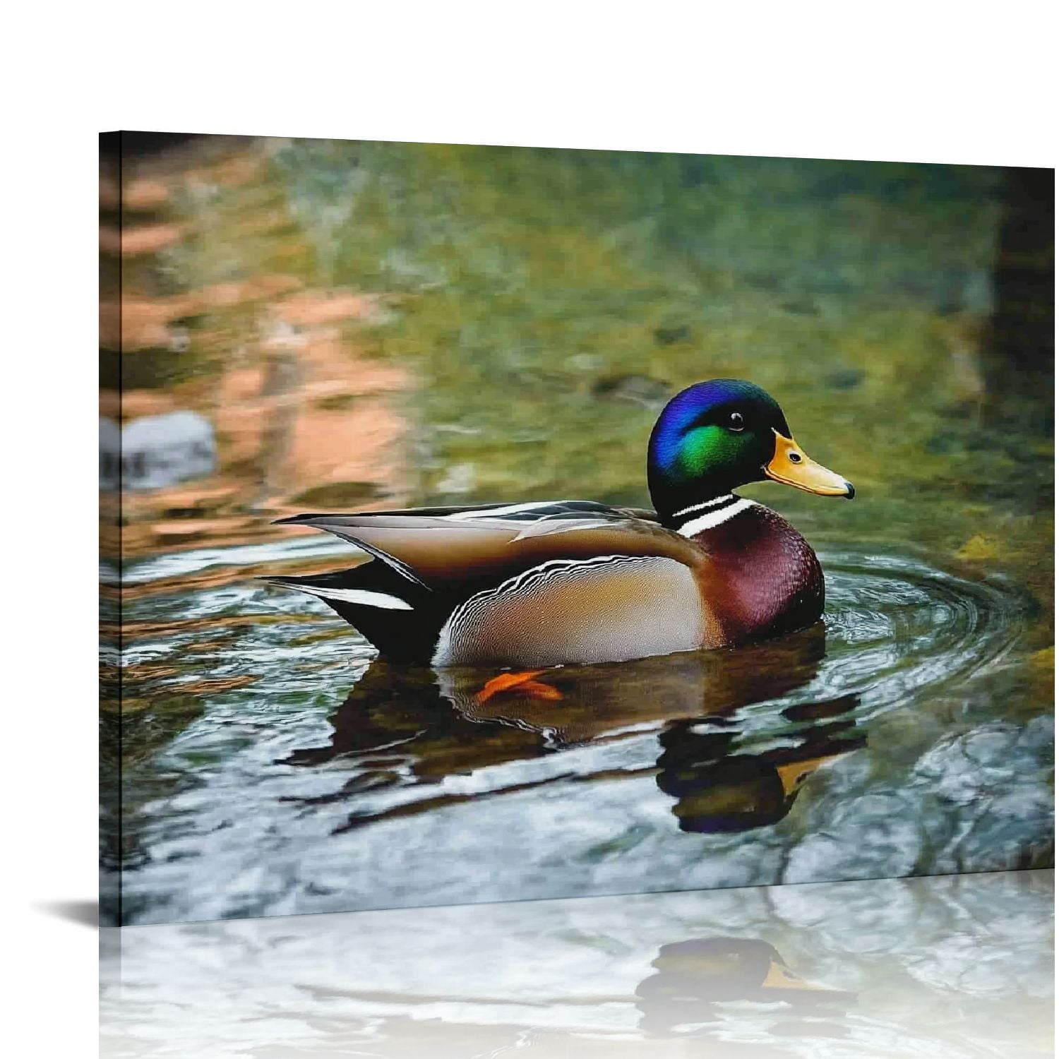 Bciig Duck Theme Canvas Art Print for Living Room Bedroom Office Wall ...