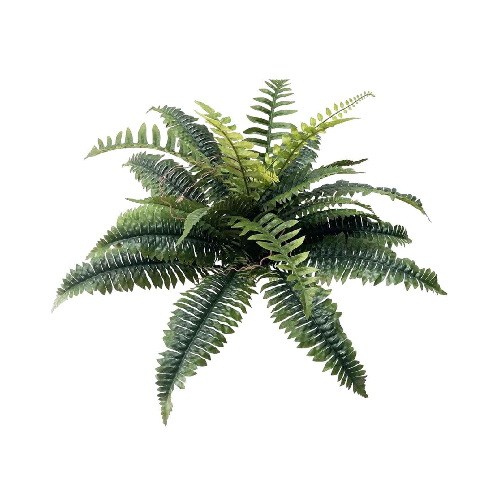 Bcylexb 23.6" Artificial Fern Wall Hanging with Large Leaves, Fake Plants Boston Fern and ...