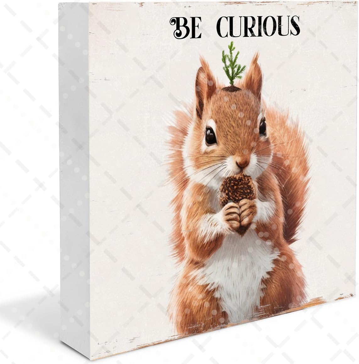 Be Curious Squirrel Decorative Wooden Box Sign Motivational Home Office ...