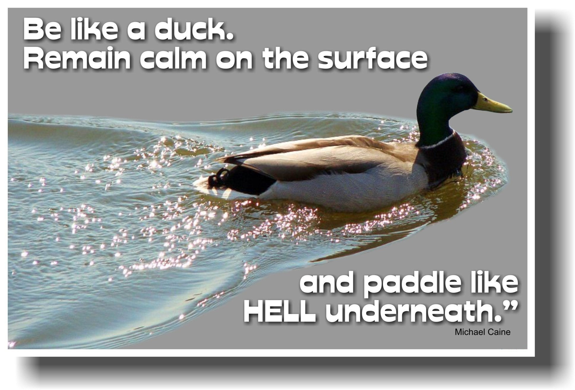 "Be Like a Duck. Remain Calm on the Surface and Paddle Like Hell ...
