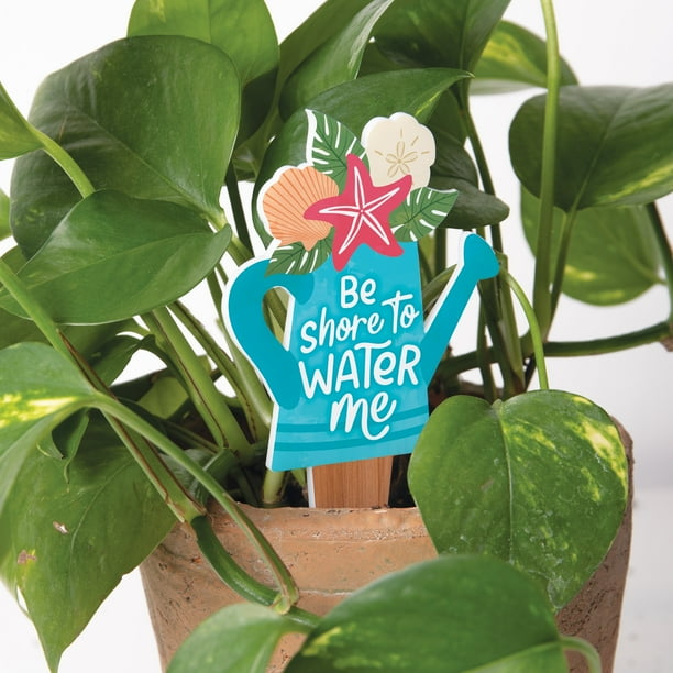 **Be Shore To Water Me Plant Pal - Walmart Business Supplies