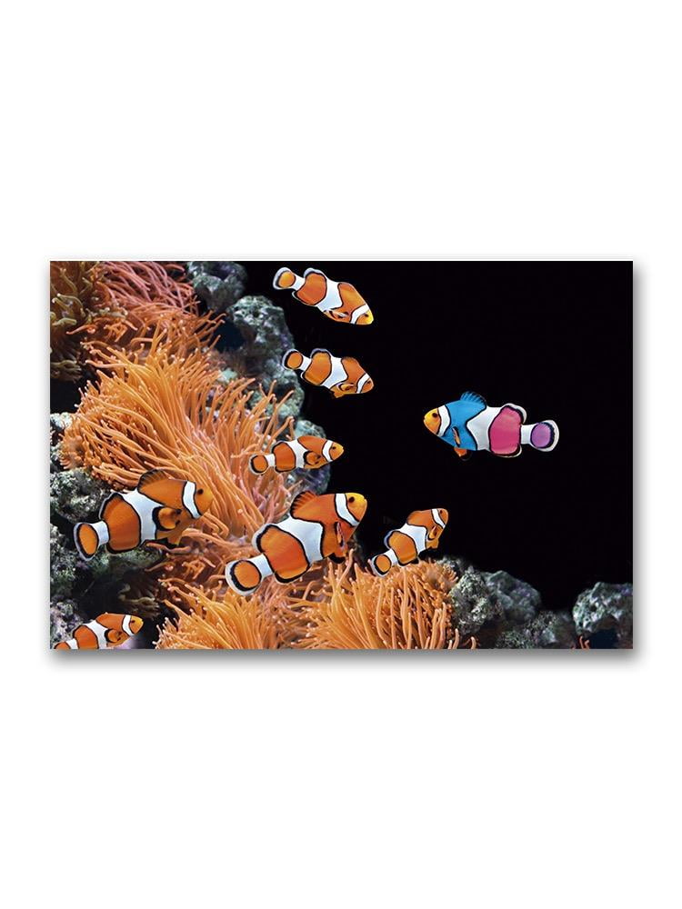 Be Unique Clownfish Colorful Poster -Image by Shutterstock - Walmart.com