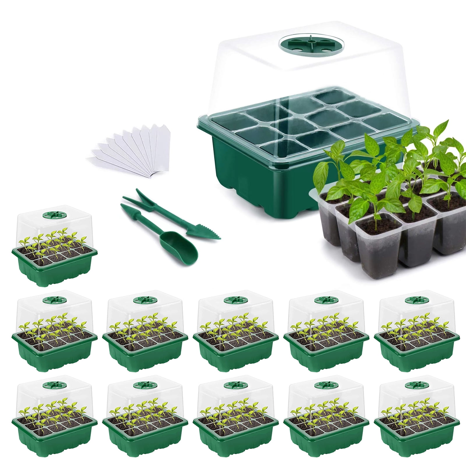 BeGrit Seeding Tray with Elevated Lid, 12 Packs 144 Cells Thicken Seed ...