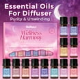 BeNatu Wellness Harmony Fragrance Oil Set for Diffusers, 12 Scents x ...