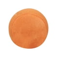 Beach Ball and Pool Ball Game, Inflatable PVC Play Ball for Pool, Coral ...