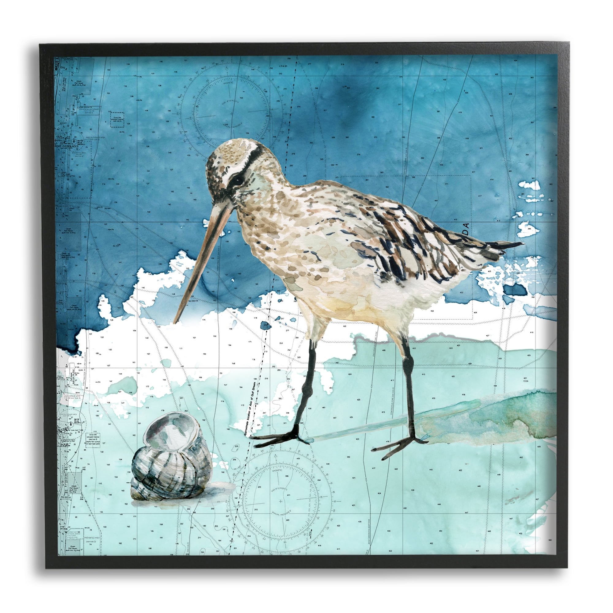 Beach Bird Round Shell Blue Ocean Coastal Map Animals & Insects Framed ...