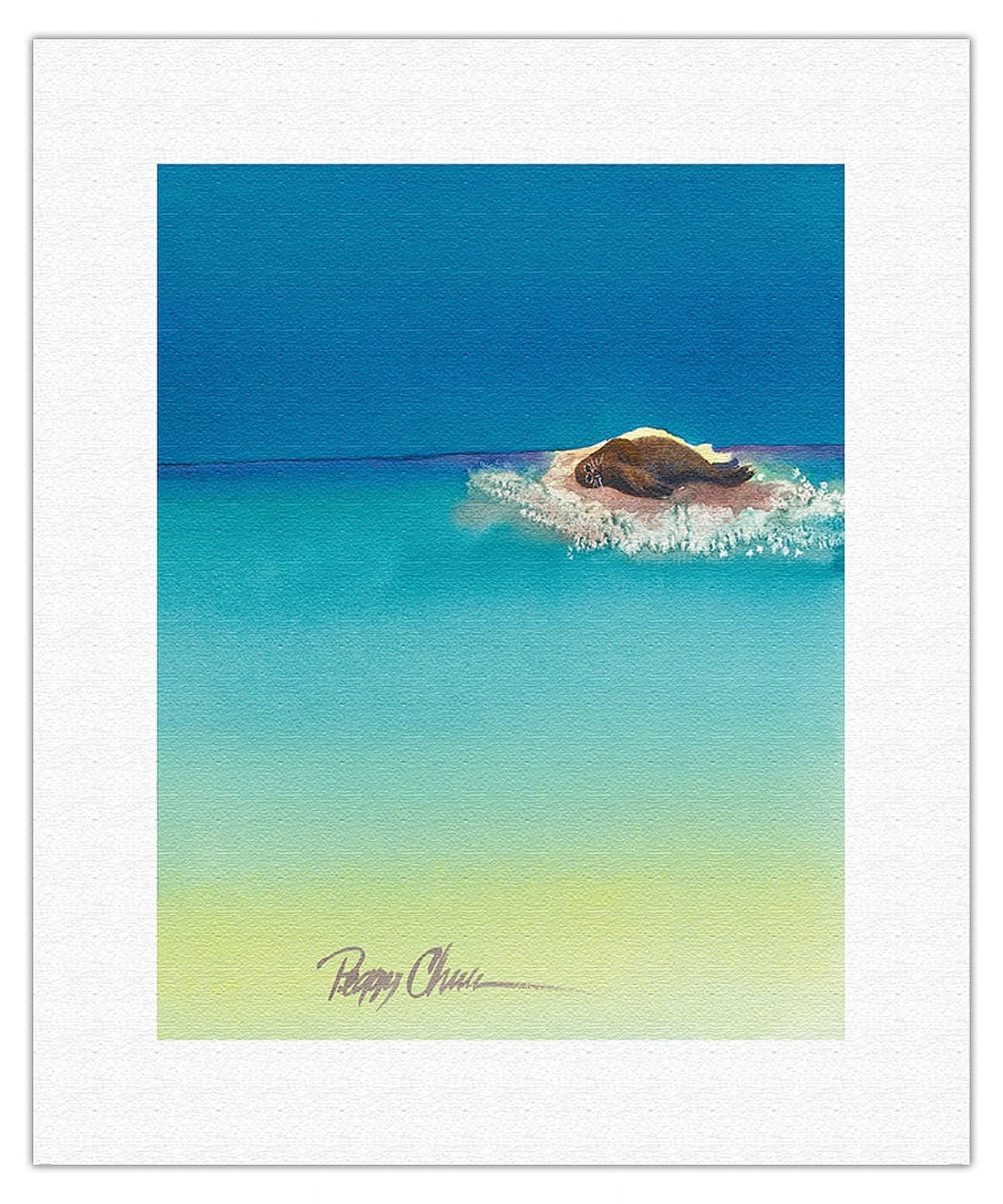 Beach Bum - Hawaiian Monk Seal Basking on Tiny Island (Mokupuni) - From ...