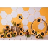 Beach Candy Sunflower 1st Birthday Cake Smash Newborn Baby Portrait ...