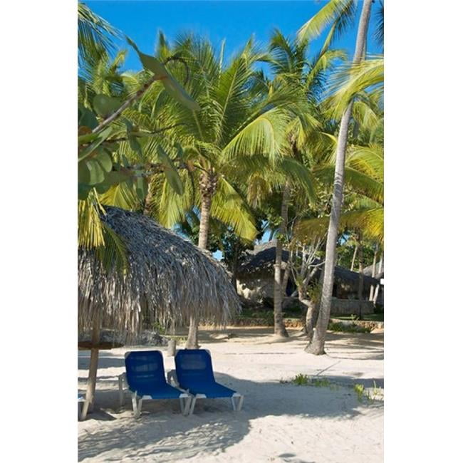 Beach Chairs Viva Wyndham Dominicus Beach Bayahibe Dominican Republic ...