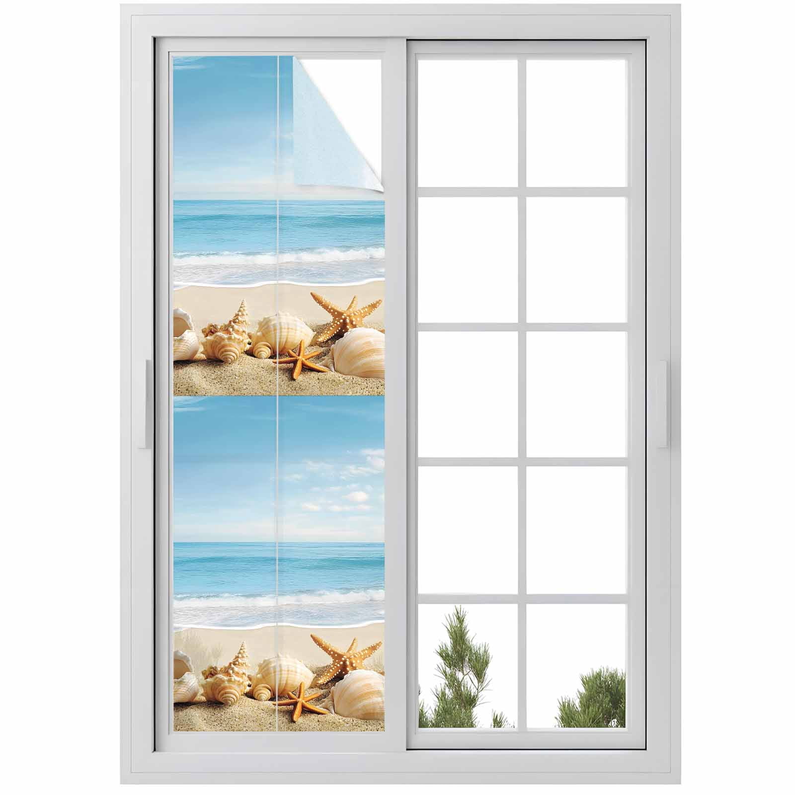 Beach Coastal Window Privacy Film, Summer Seaside Shell Starfish ...