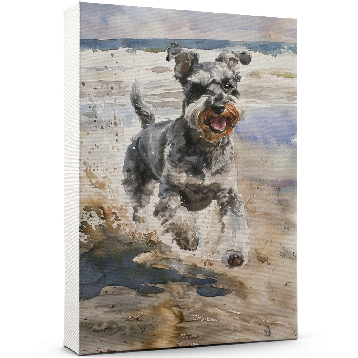 Beach Dogs Art - Standard Schnauzer Dog Canvas, Dog Pictures Wall Decor ...