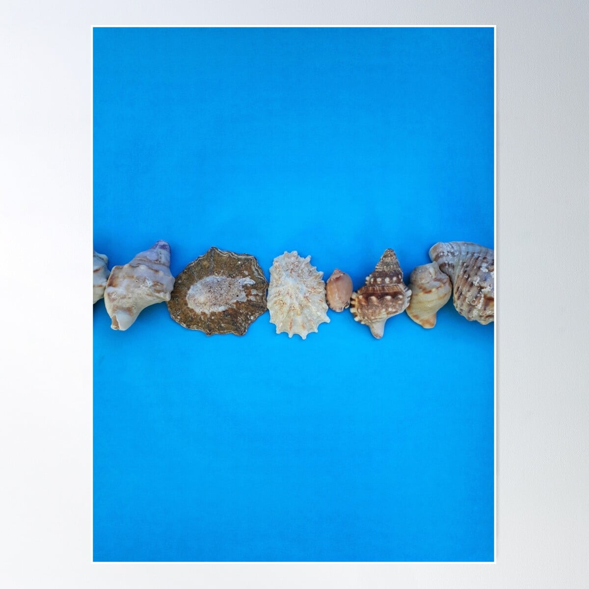 Beach House Decor Seashells Stripe On Coastal Turquoise Poster Wall Art ...