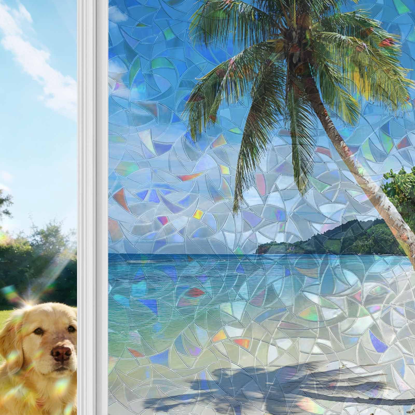 Beach Palm Tree Rainbow Window Privacy Film, Summer Ocean Blue Sky ...