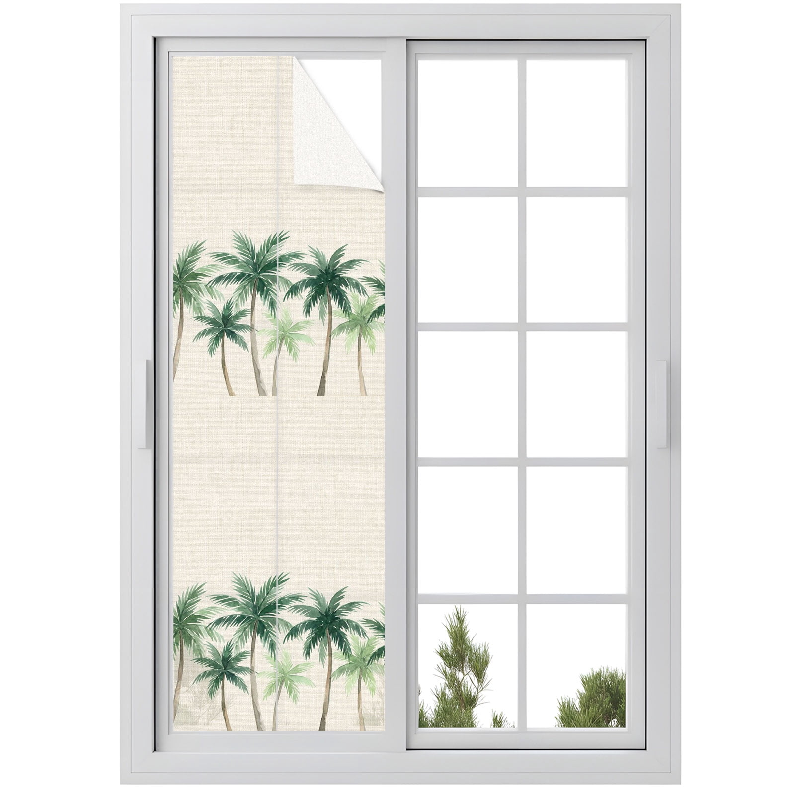 Beach Palm Tree Window Privacy Film Country Vintage Coastal Green ...