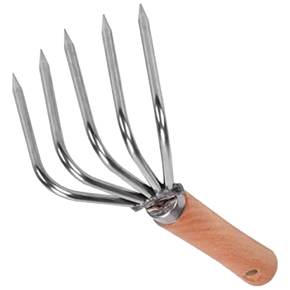 Beach Rake with 5-Tooth Design for Oysters and Crabs Assorted Color ...