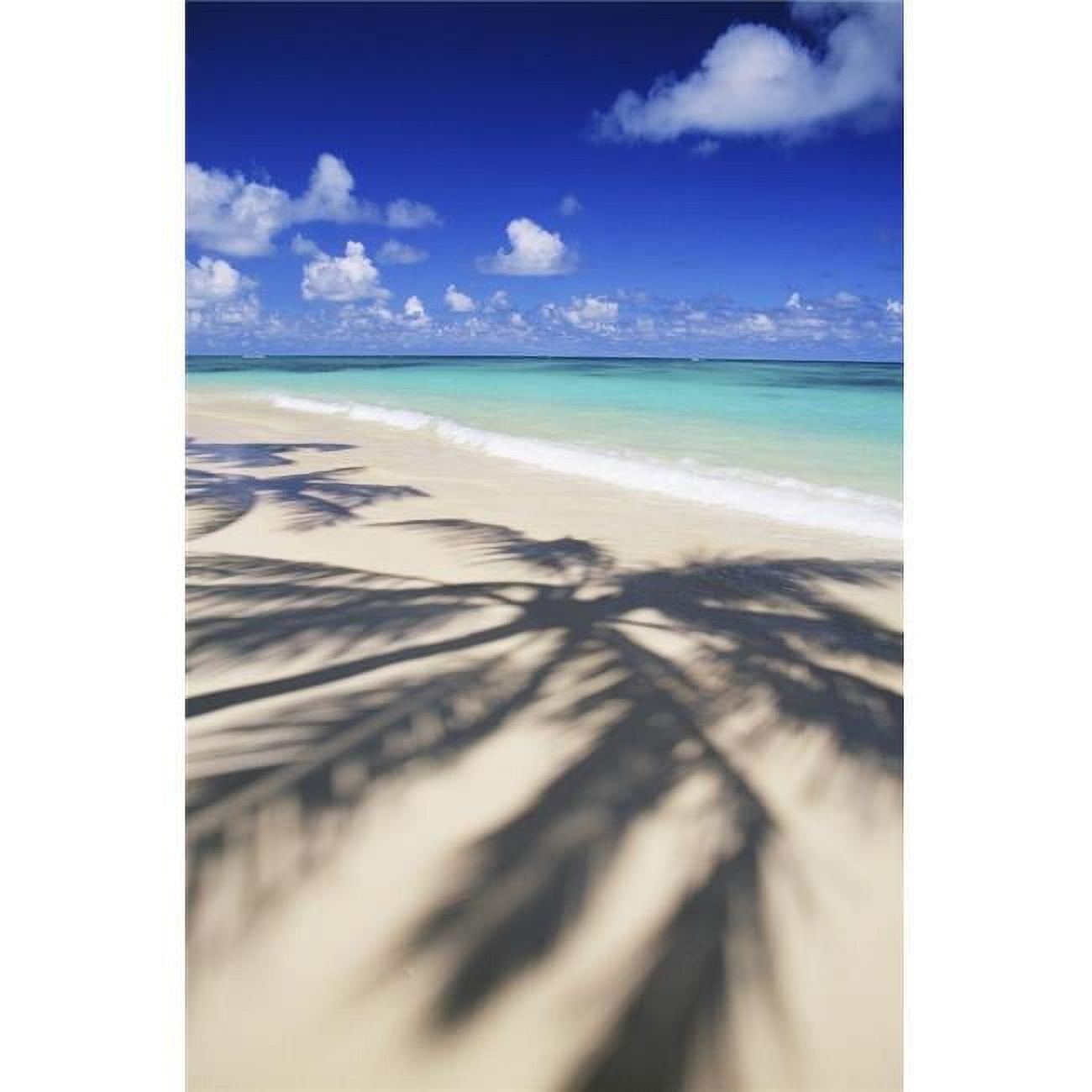 Beach Scene With Palm Shadow On Shoreline Sand Tropical Poster Print ...