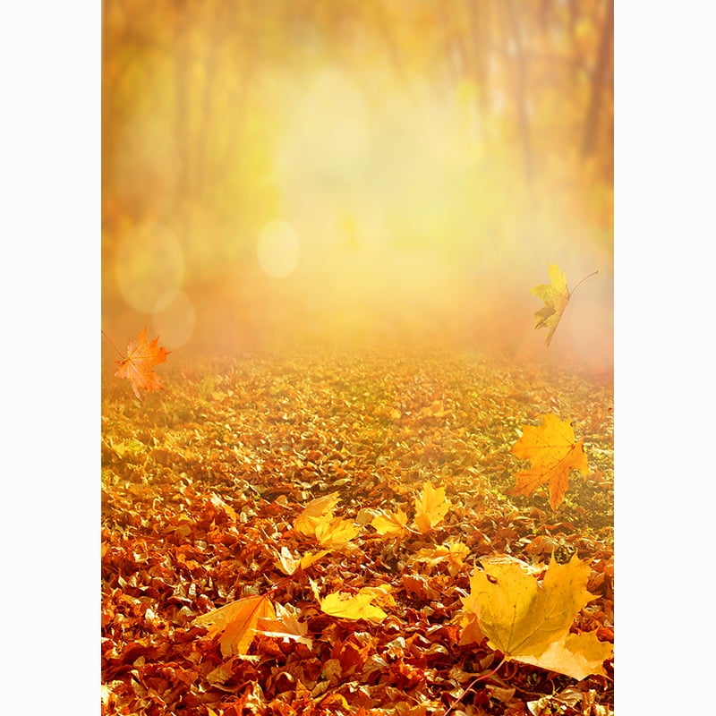 Beach Scenery Theme Photography Backdrops Props Forest Grassland Street ...