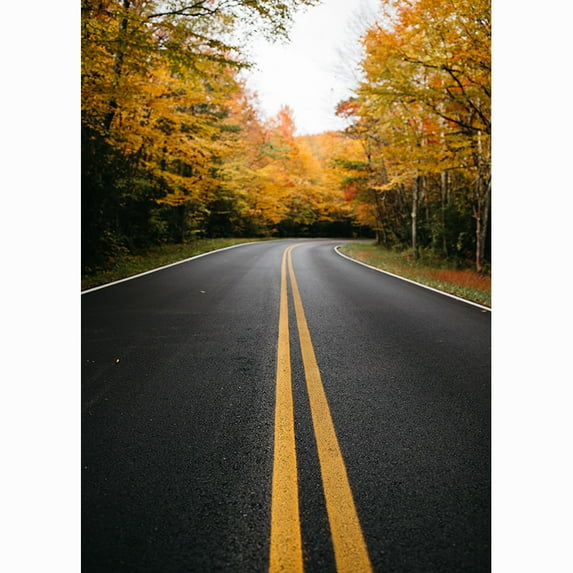 Beach Scenery Theme Photography Backdrops Props Forest Grassland Street ...