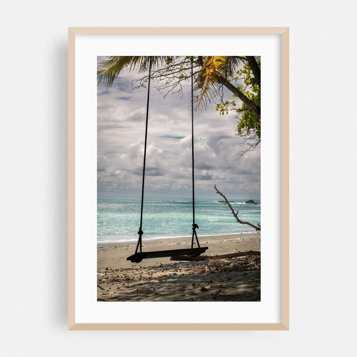 Beach Seascape Tropical Palm Tree Ocean Coastal Fine Summer Photography ...