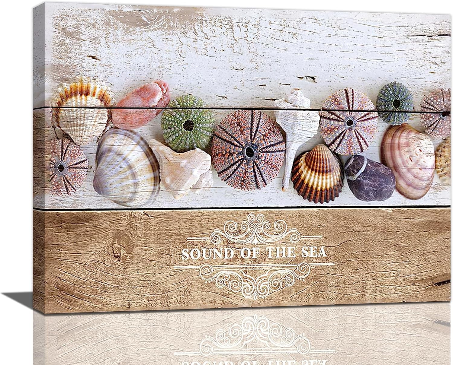 Beach Seashell Bathroom Decor Wall Art Coastal Ocean Seascape Picture ...