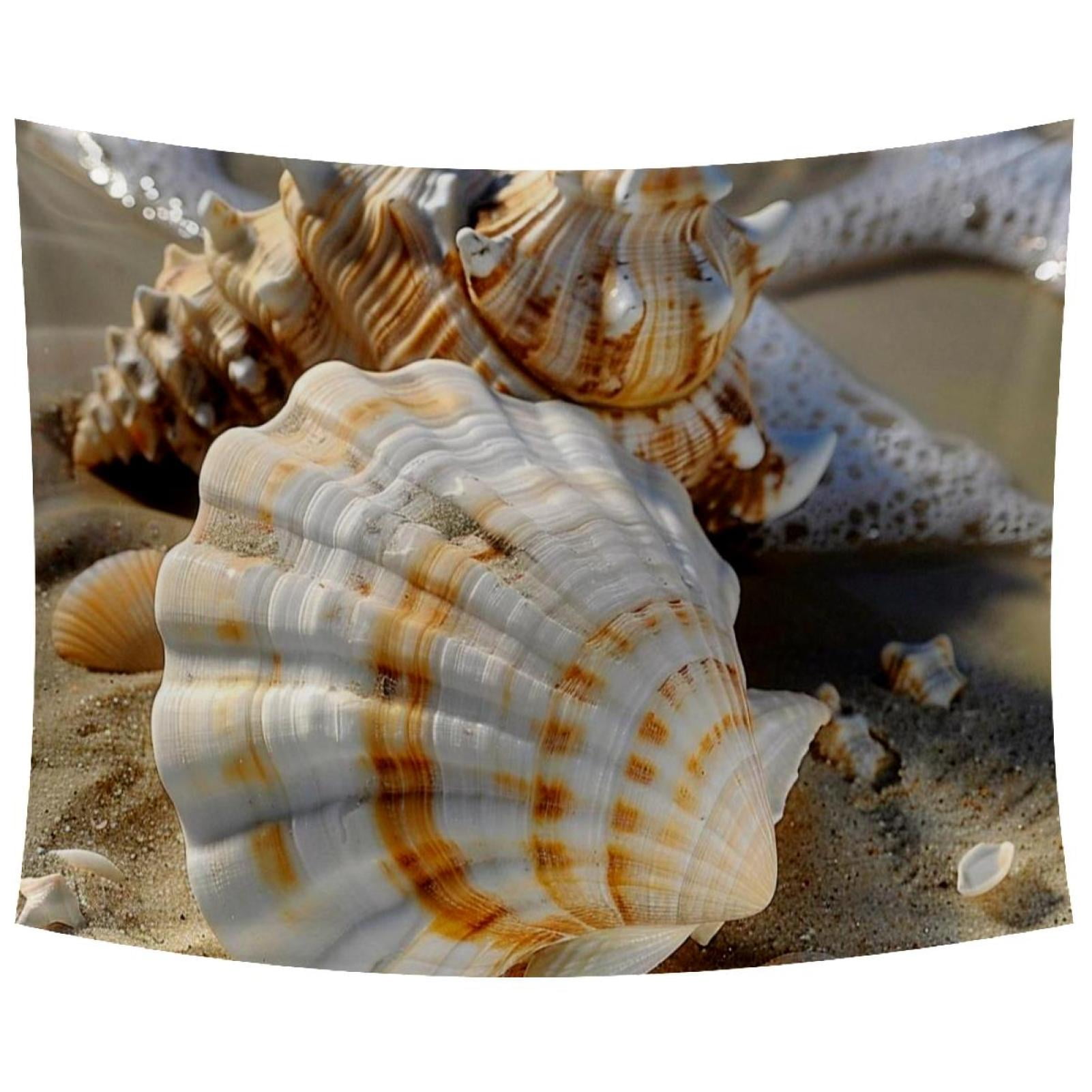 Beach Shell Tapestry Wall Hanging for Bedroom Home Decor Living Room ...