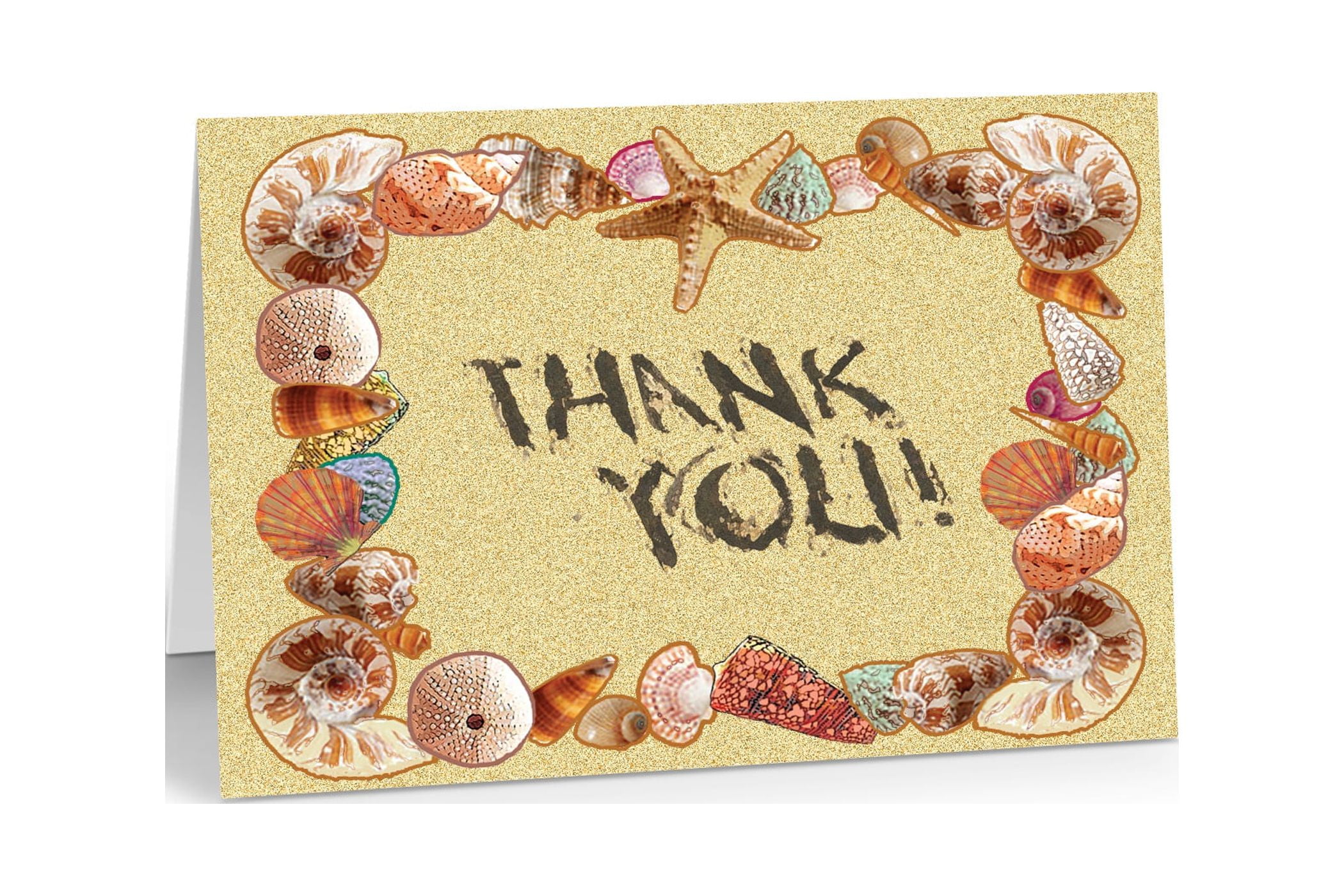 Beach/Shell Thank You Note Card Set - 10 Cards and Envelopes Boxed ...