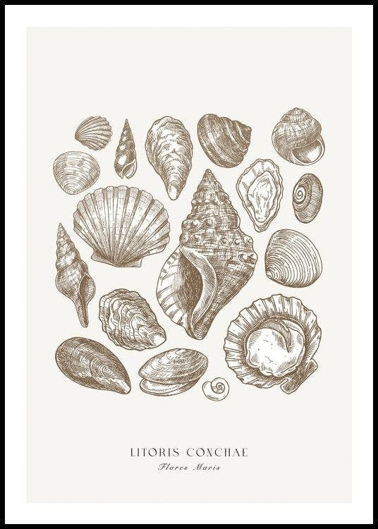 Beach Shells Poster Wall Art, Modern Wall Decor For Living Room Bedroom ...