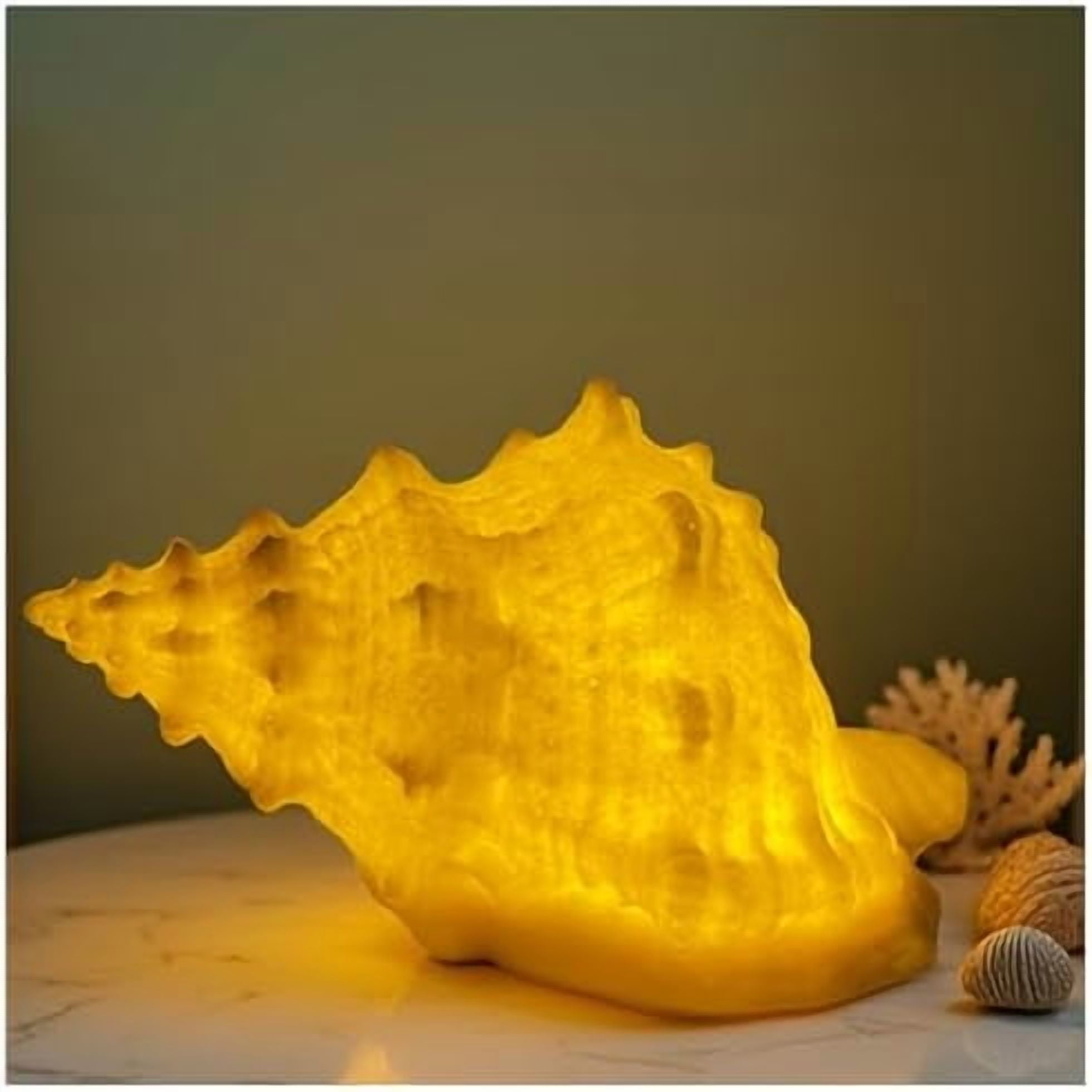 Beach Theme Night Light - Conch Shell Shaped LED Lamp with Auto Timer ...