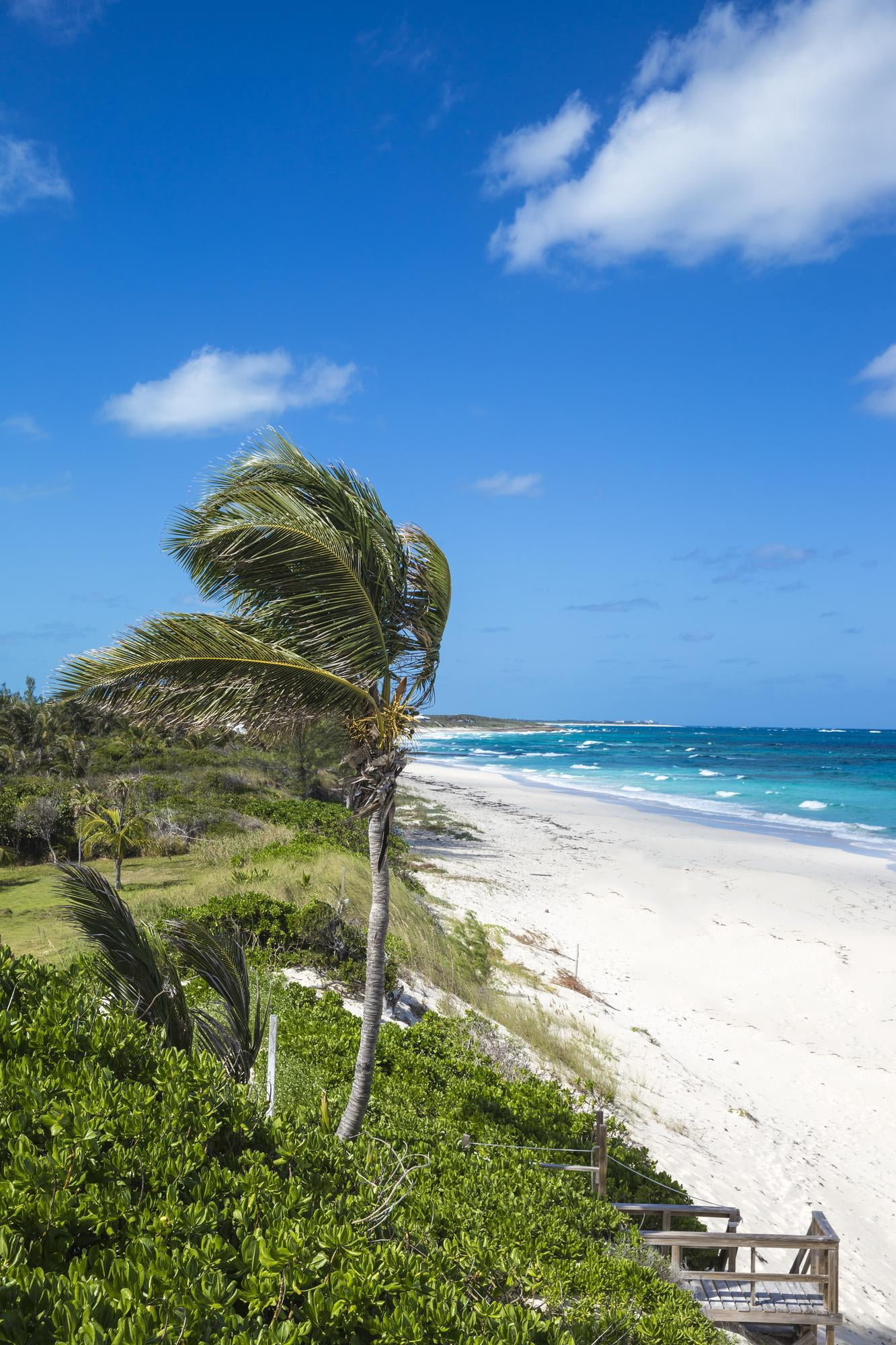 Art.com Beach near Nippers Bar, Great Guana Cay, Abaco Islands, Bahamas ...