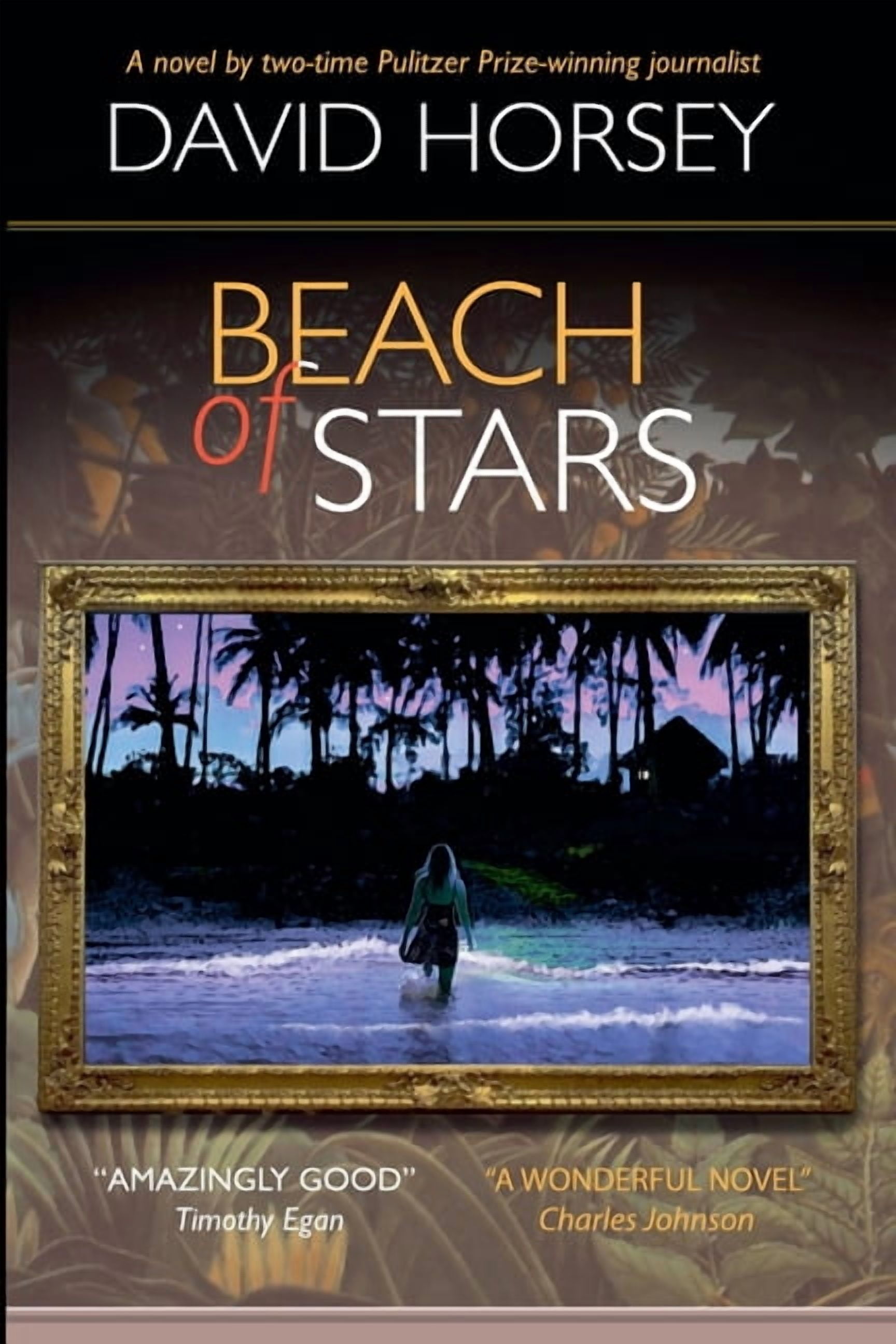 Beach of Stars, (Paperback) - Walmart.com